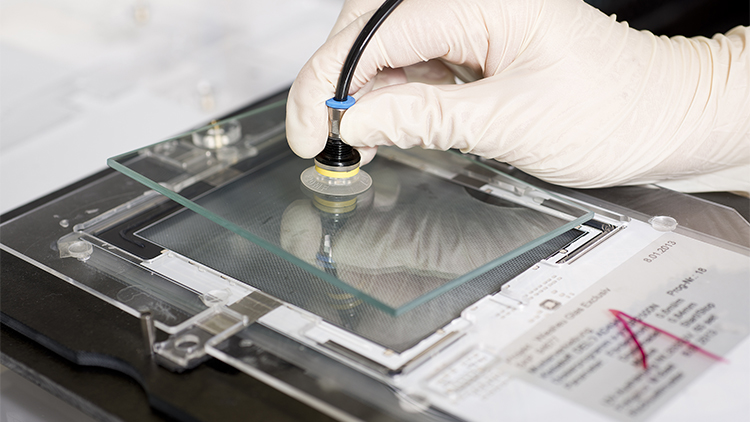 fischer.group: Startpage